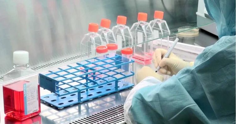 Cocoon TM Platform Bringing Automated Cell Therapy Manufacturing to the ...